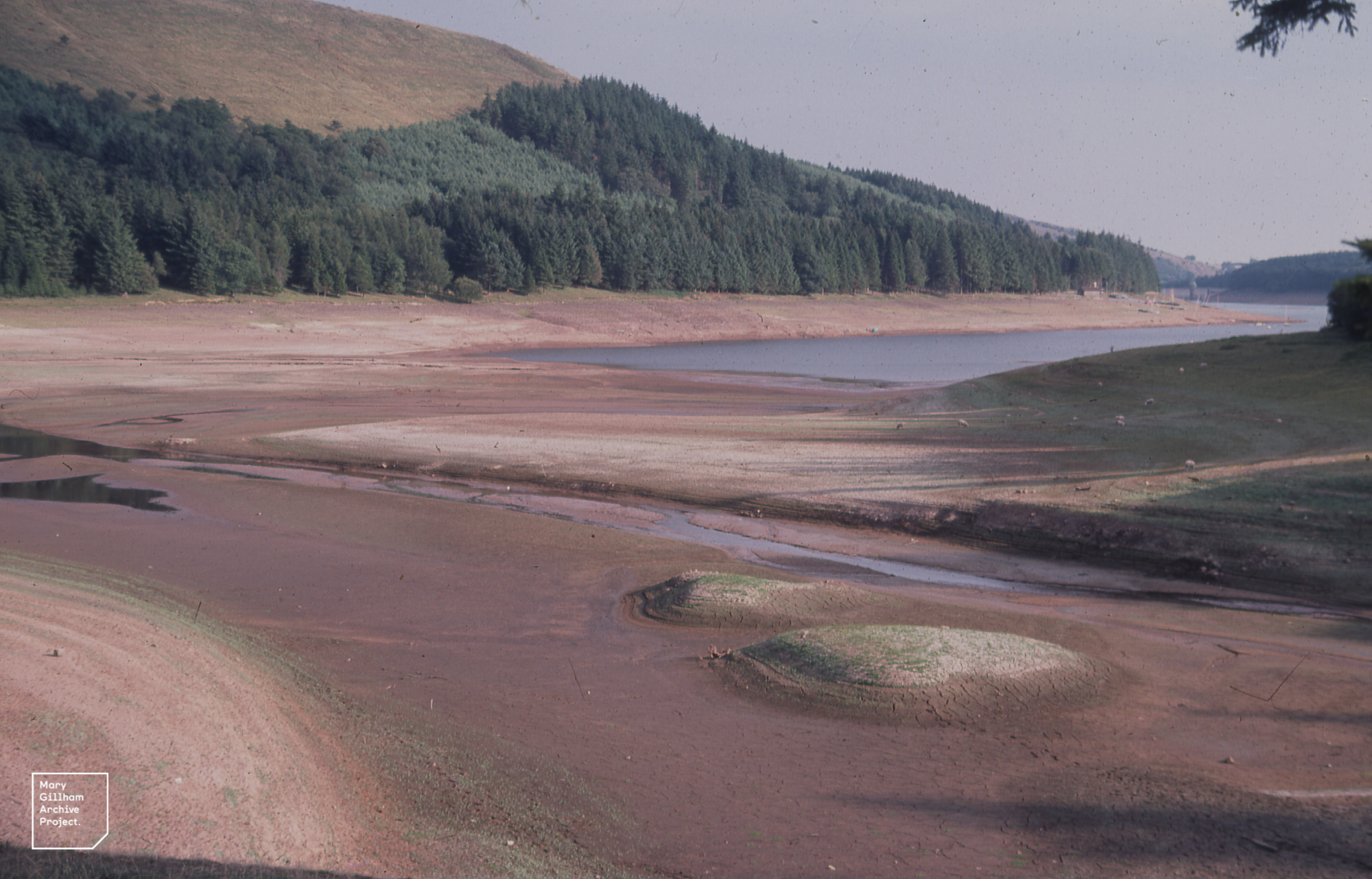The Drought of 1976 - Blaengwrach and Cwmgwrach Timeline Project